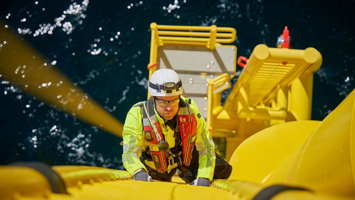 Latest News and Updates | OEG