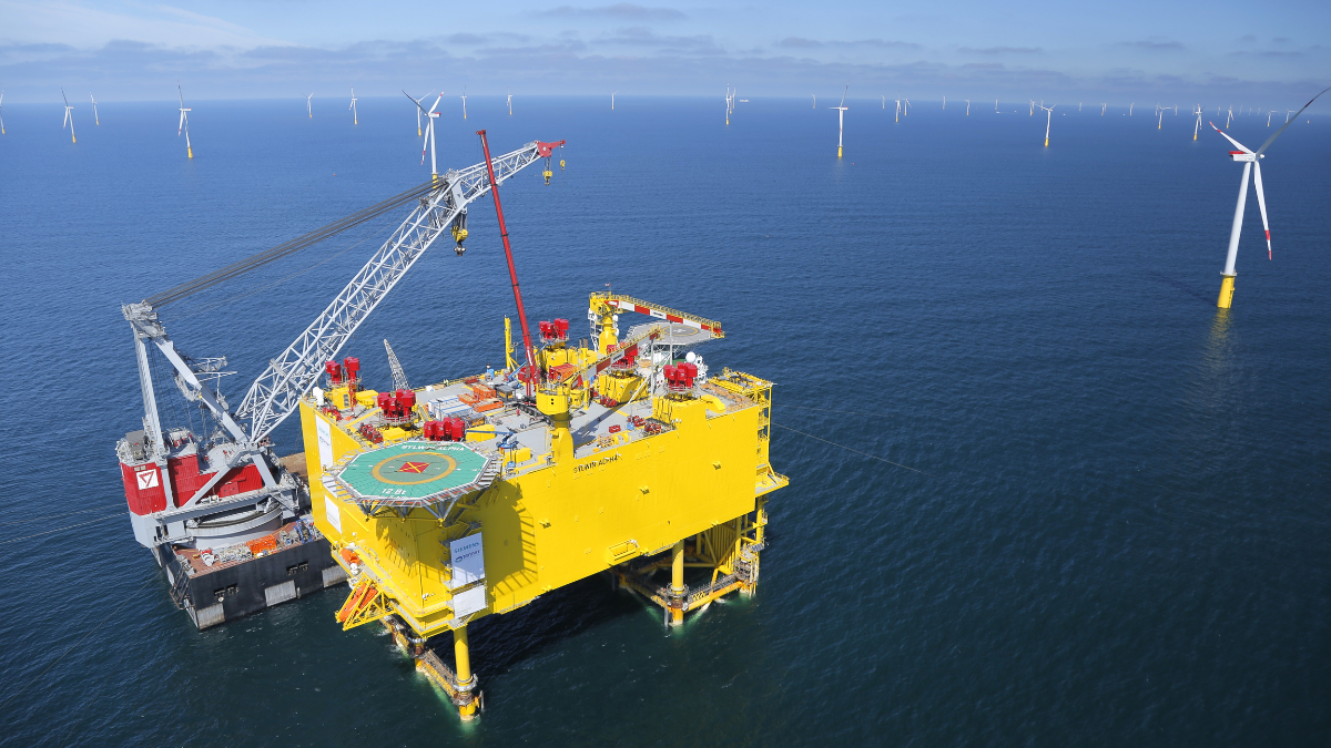 Latest News and Updates | OEG