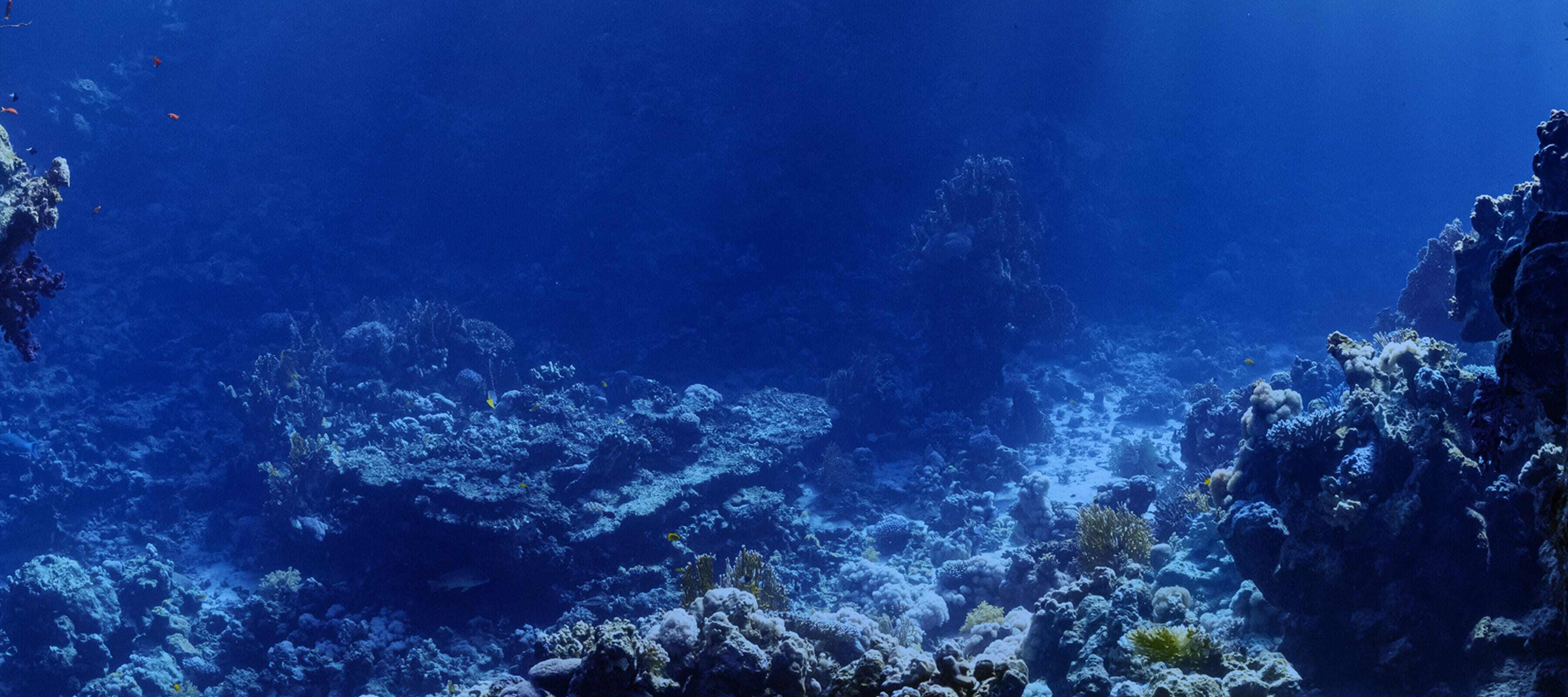 Subsea cable burial campaign for Nexans